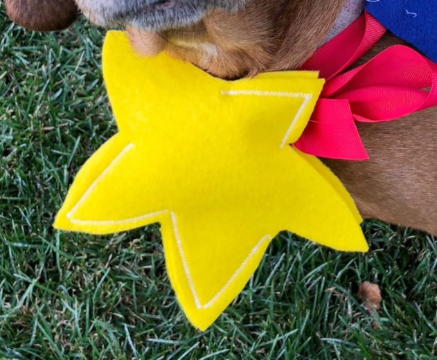 DIY Super Hero Capes for the Dogs - Kunin Felt
